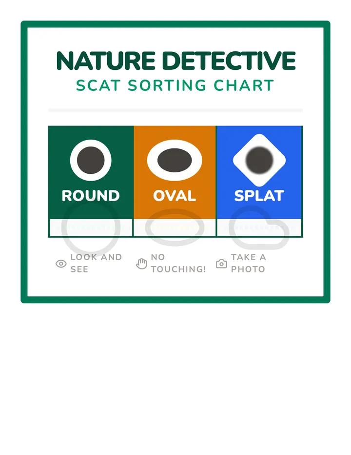 Scat Sorting Anchor Chart • Material • Lenny.com